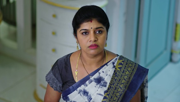 Parasparam Serial Actress Revathi Krishna
